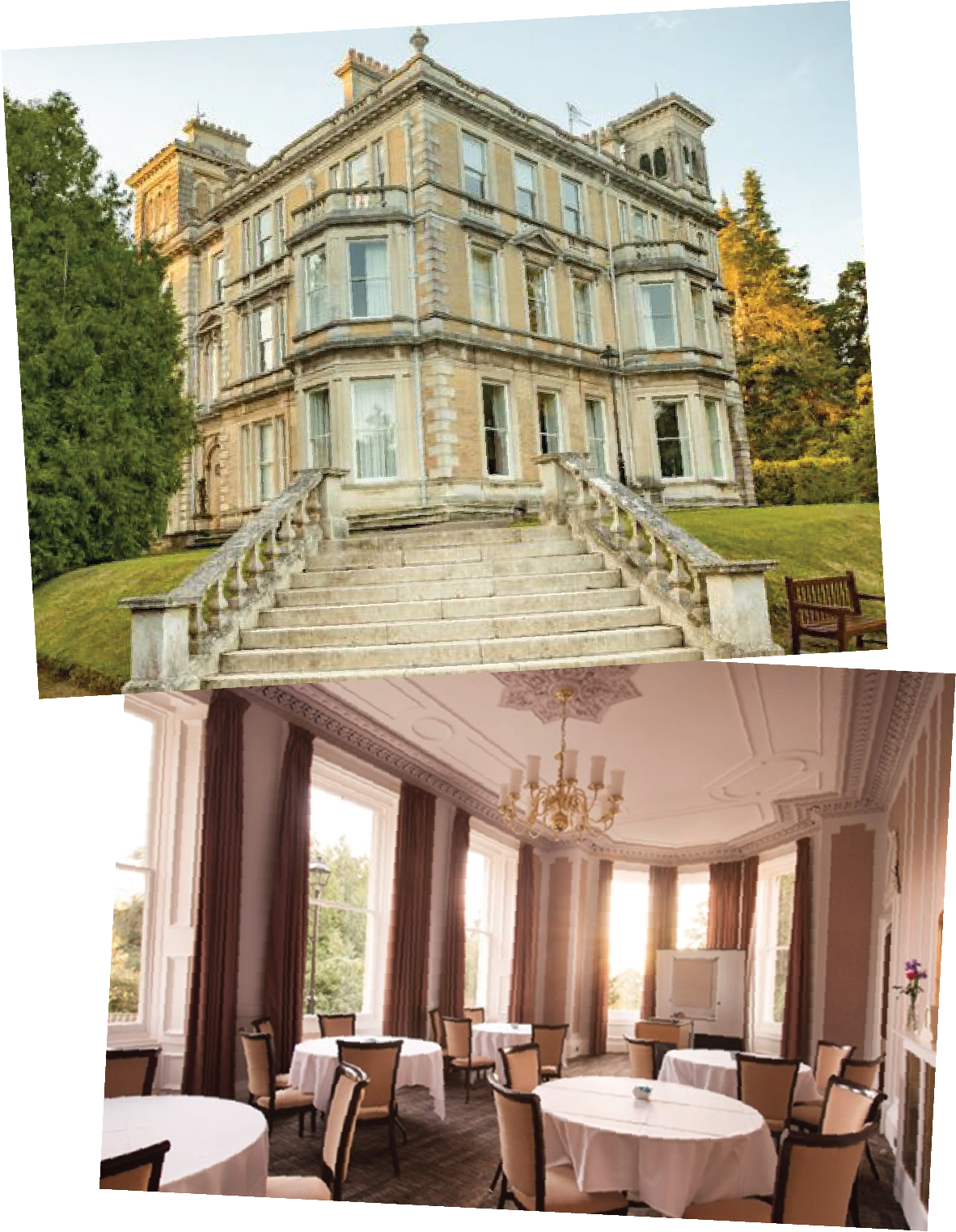 Quantum Digital Twins for Quantum Simulators based on Tensor Networks